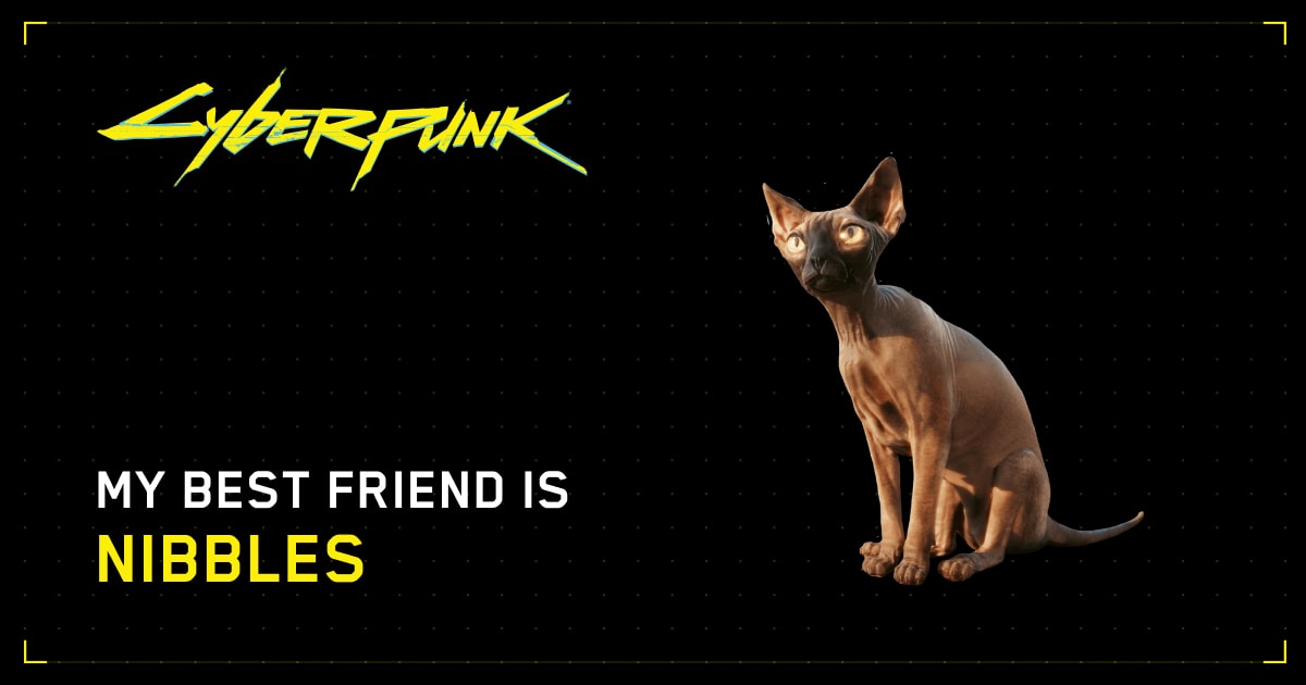 I'm friends with Nibbles